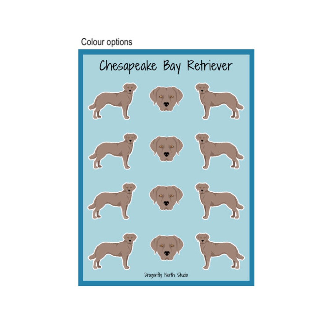 Chesapeake Bay Retriever Vinyl Sticker Sheet - Etsy