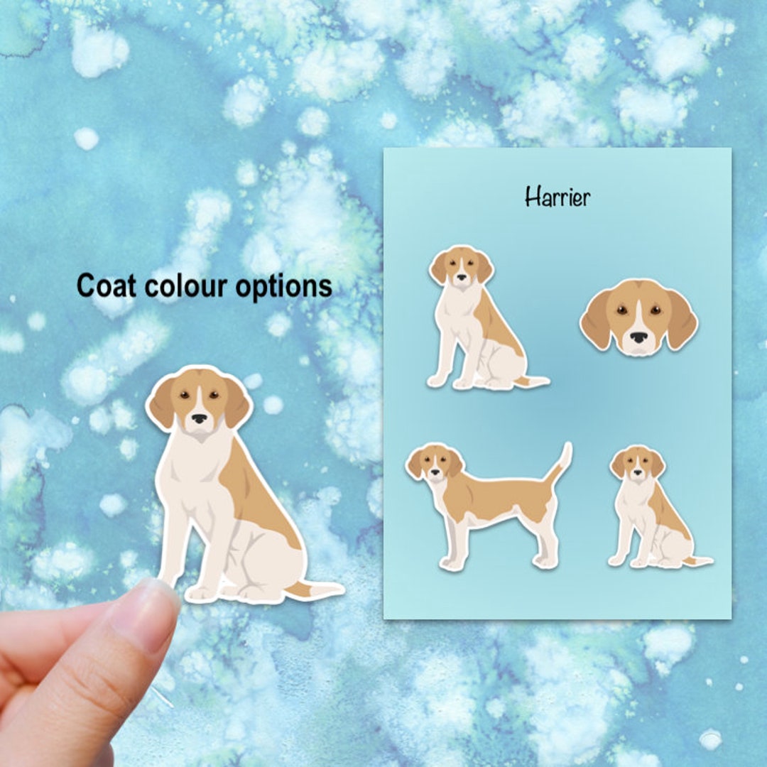 Harrier Vinyl Sticker Set - Etsy