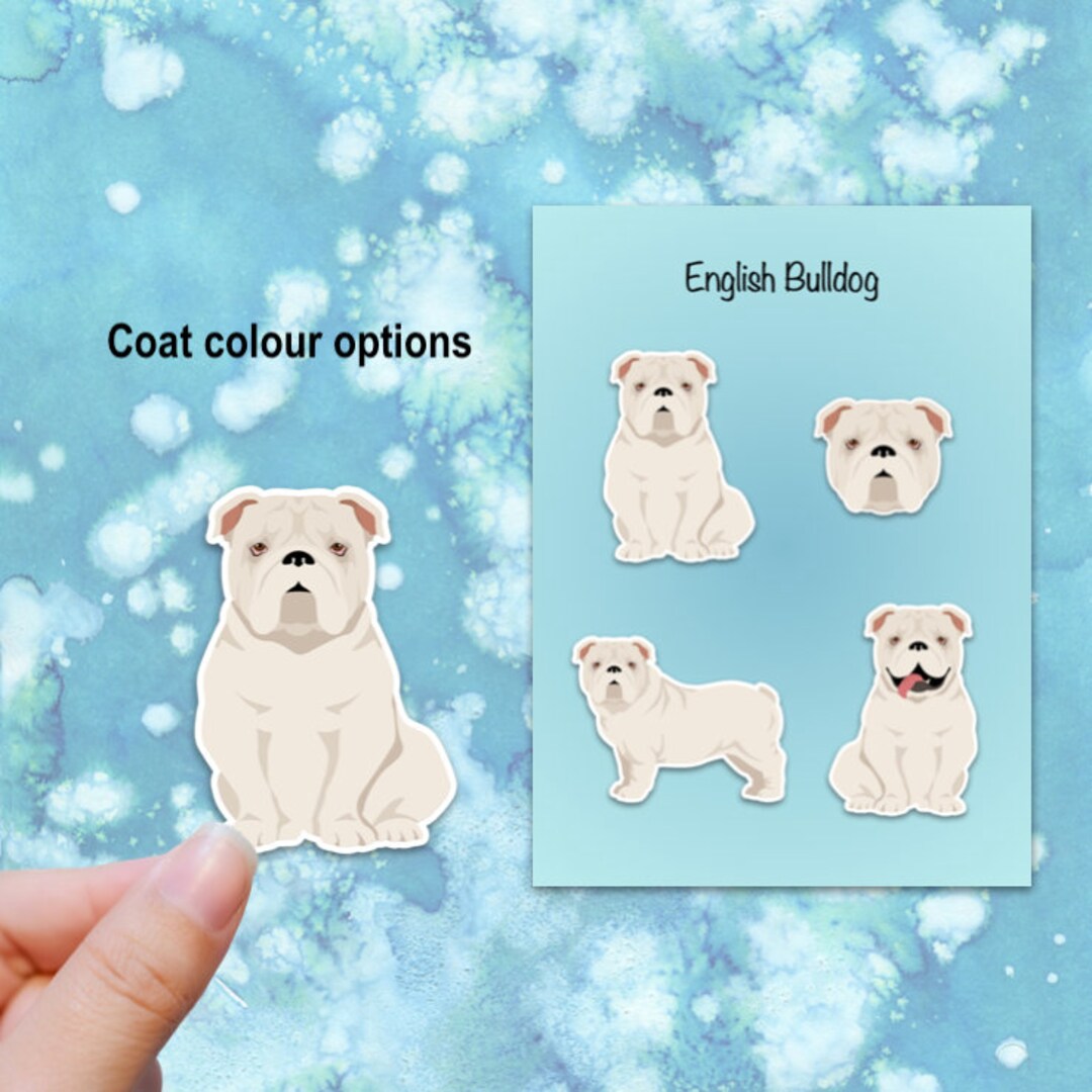 English Bulldog Vinyl Sticker Set - Etsy