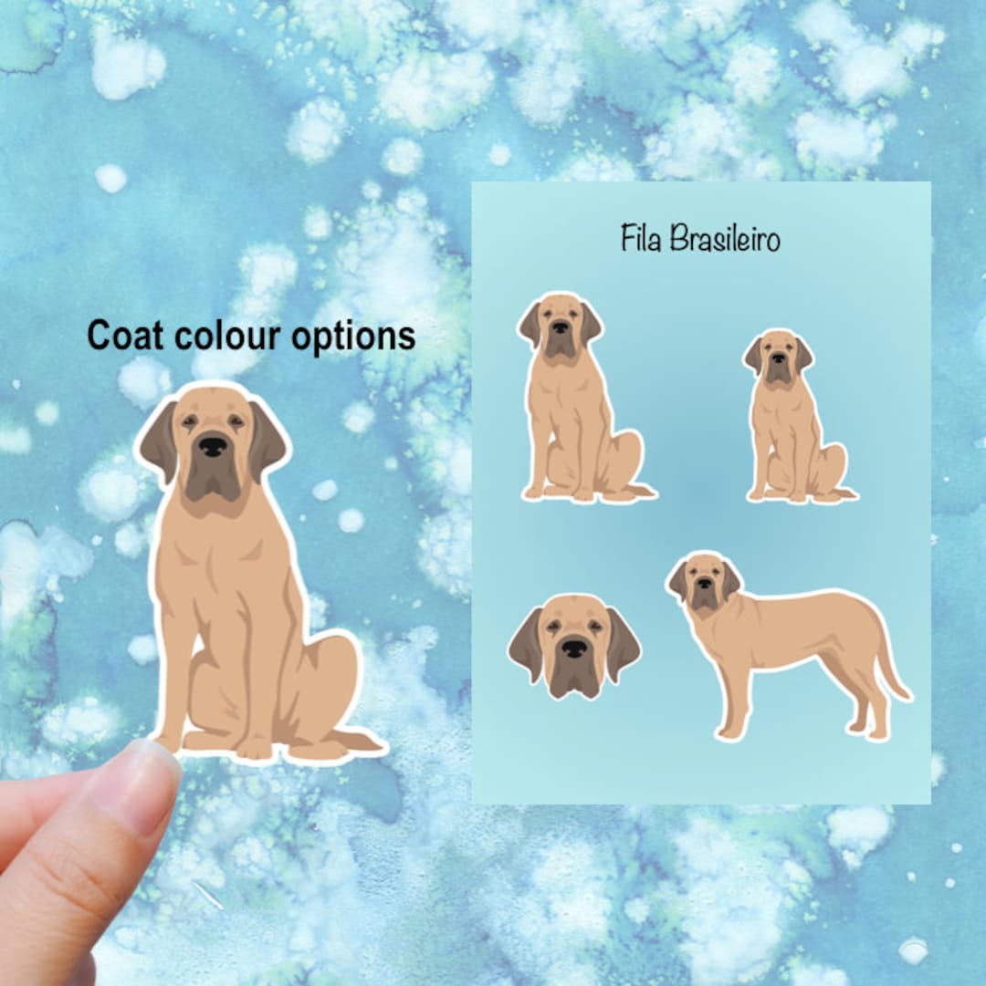 Fila Brasileiro Vinyl Sticker Set - Etsy