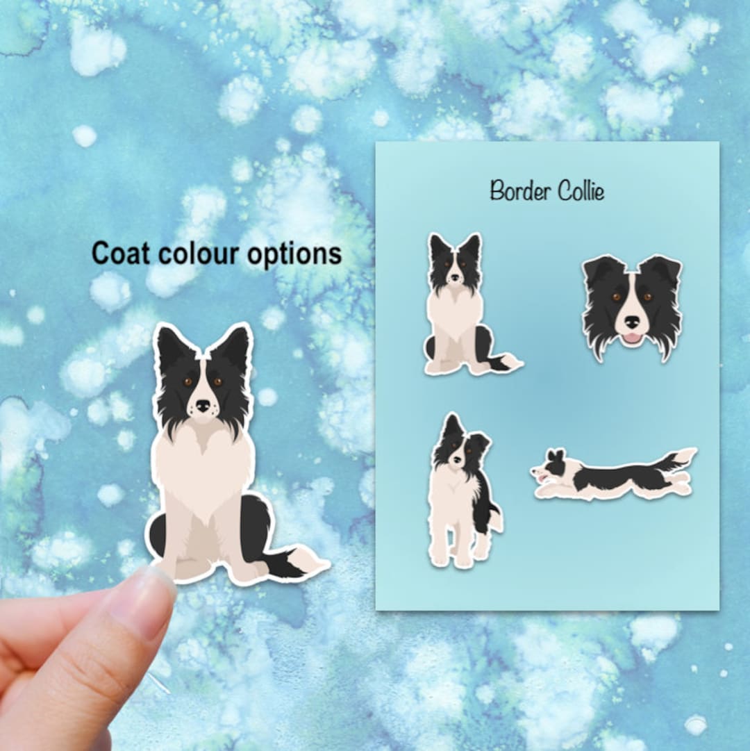 Border Collie Vinyl Stickers Set - Etsy