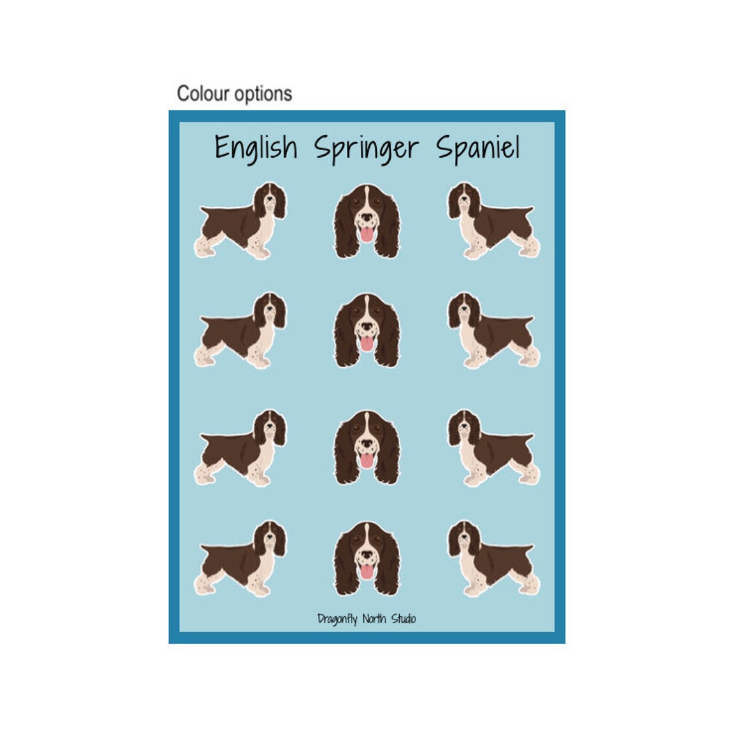 English Springer Spaniel Vinyl Sticker Sheet - Etsy