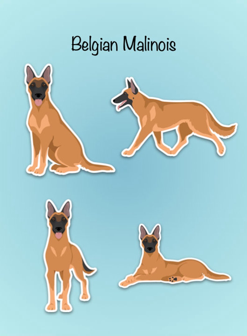 Belgian Malinois Vinyl Sticker Set - Etsy