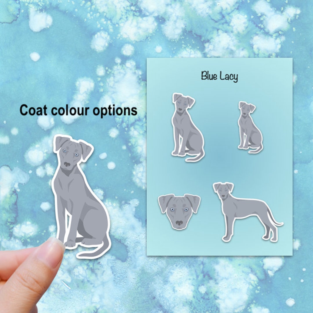 Blue Lacy Vinyl Sticker Set - Etsy