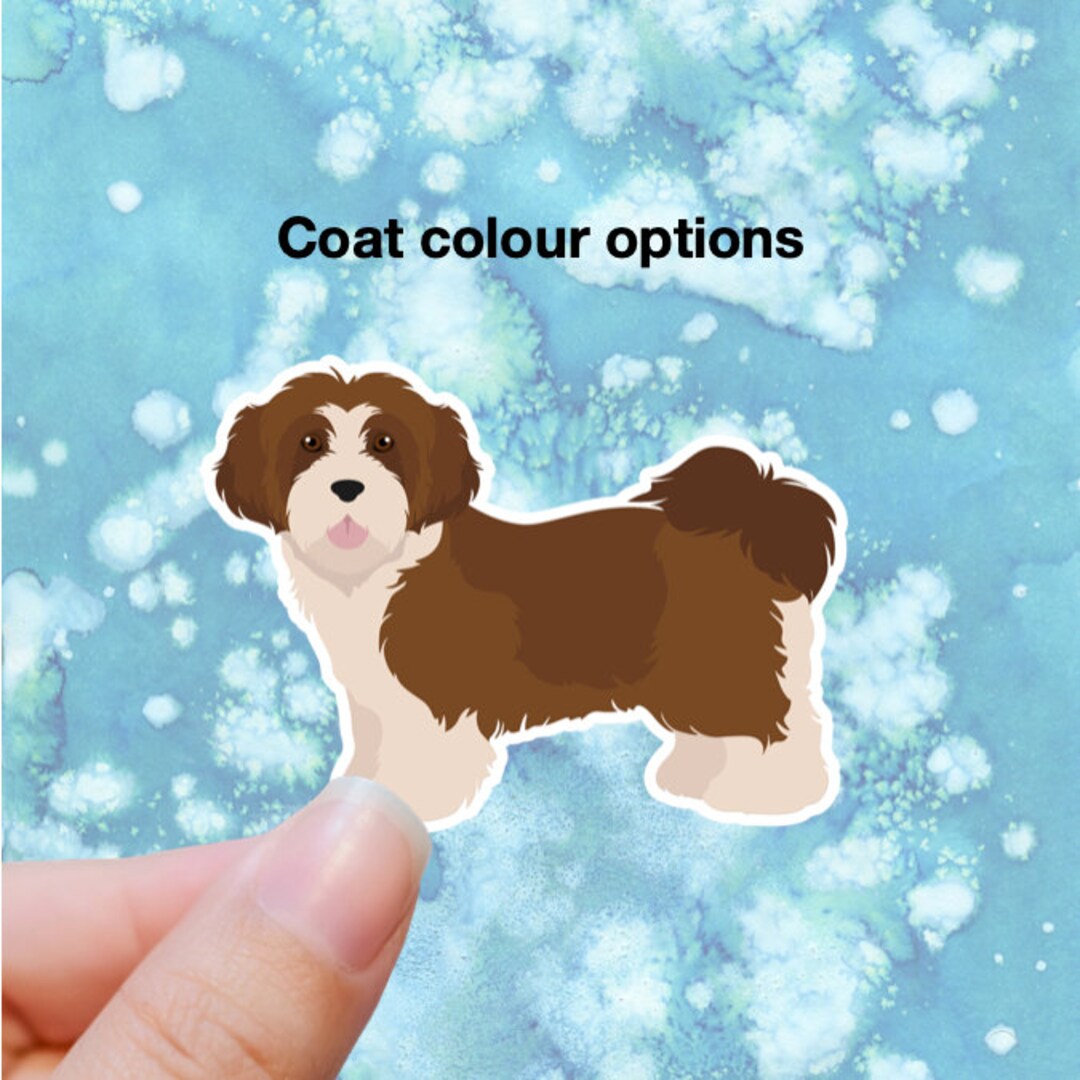 Havanese puppy Clip Vinyl Sticker Set - Etsy