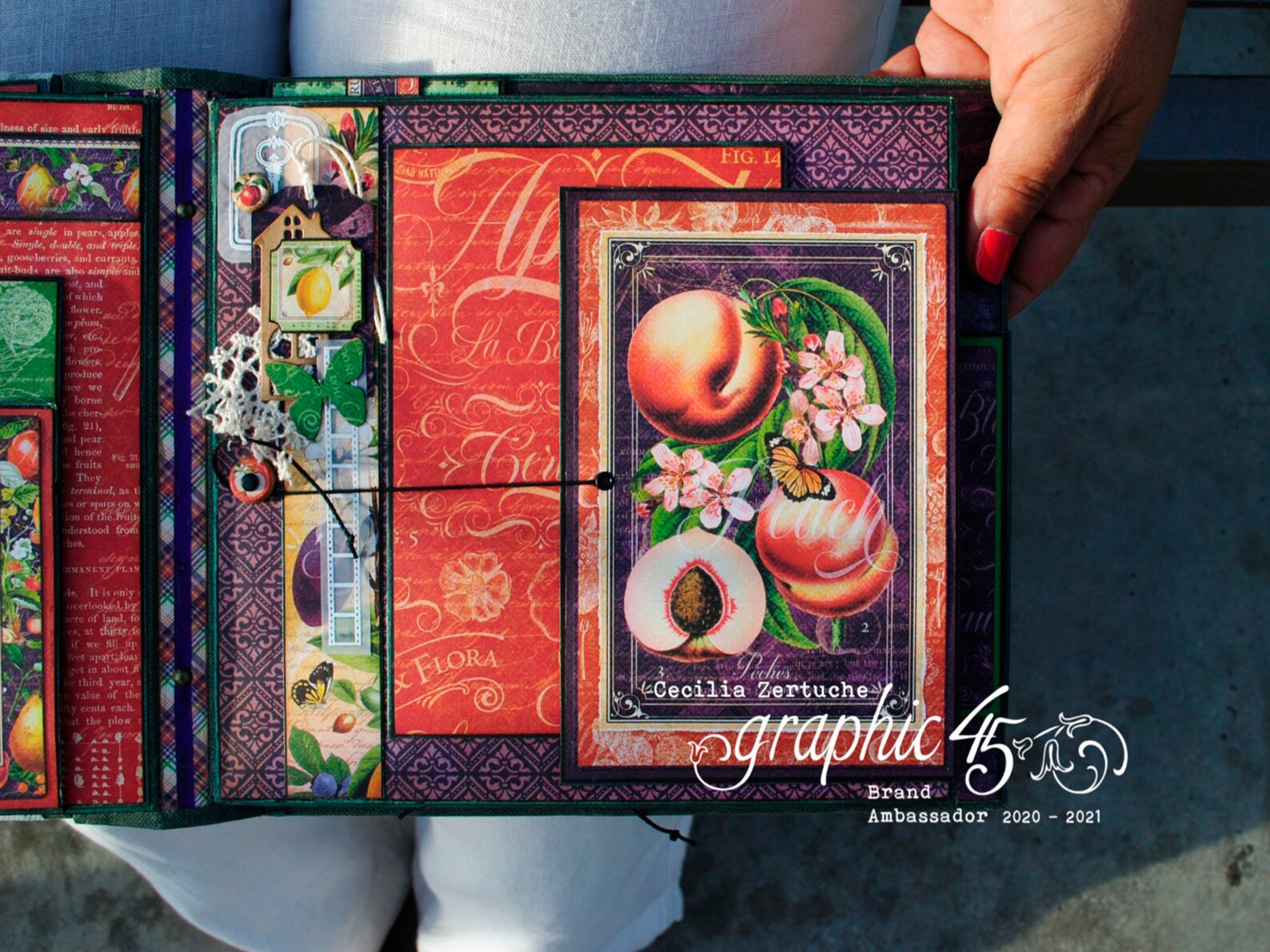 Mini Album Tutorial Graphic 45 Fruit & Flora Album and Shop - Etsy