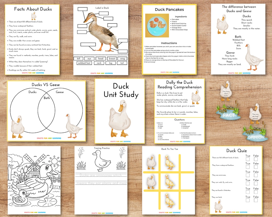 Duck Unit Study, Duck Learning Pack, Duck Activity Pack, Duck Nature ...