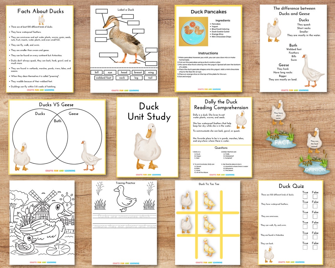 Duck Unit Study, Learning Activity Pack (digital Download) - Etsy