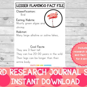 Bird Research Journal Set, My Bird Field Journal, Bird Learning Pack ...