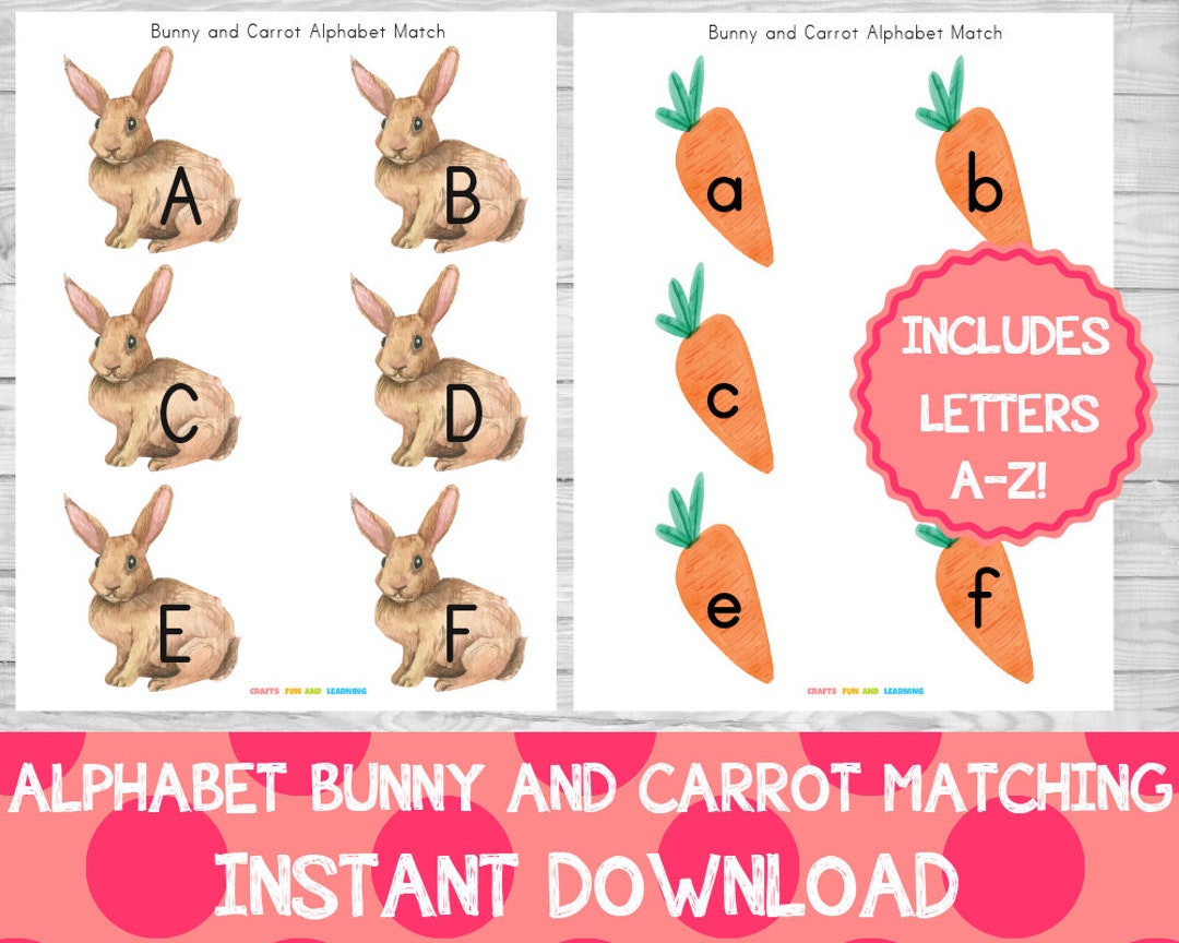 Alphabet Bunny and Carrot Matching Set - Etsy