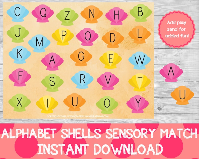 Alphabet Shells Sensory Match, Alphabet Shells Look and Find, - Etsy