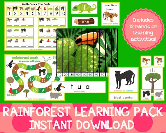 Rainforest Learning Pack | Etsy