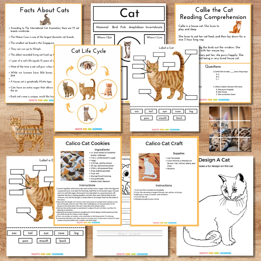 Cat Learning Pack, Cat Third and Fourth Grade Learning Pack - Etsy