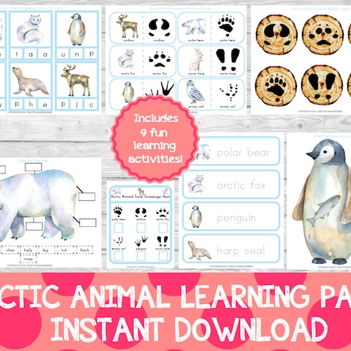 Arctic Animal Learning Pack Winter Learning Pack Winter - Etsy
