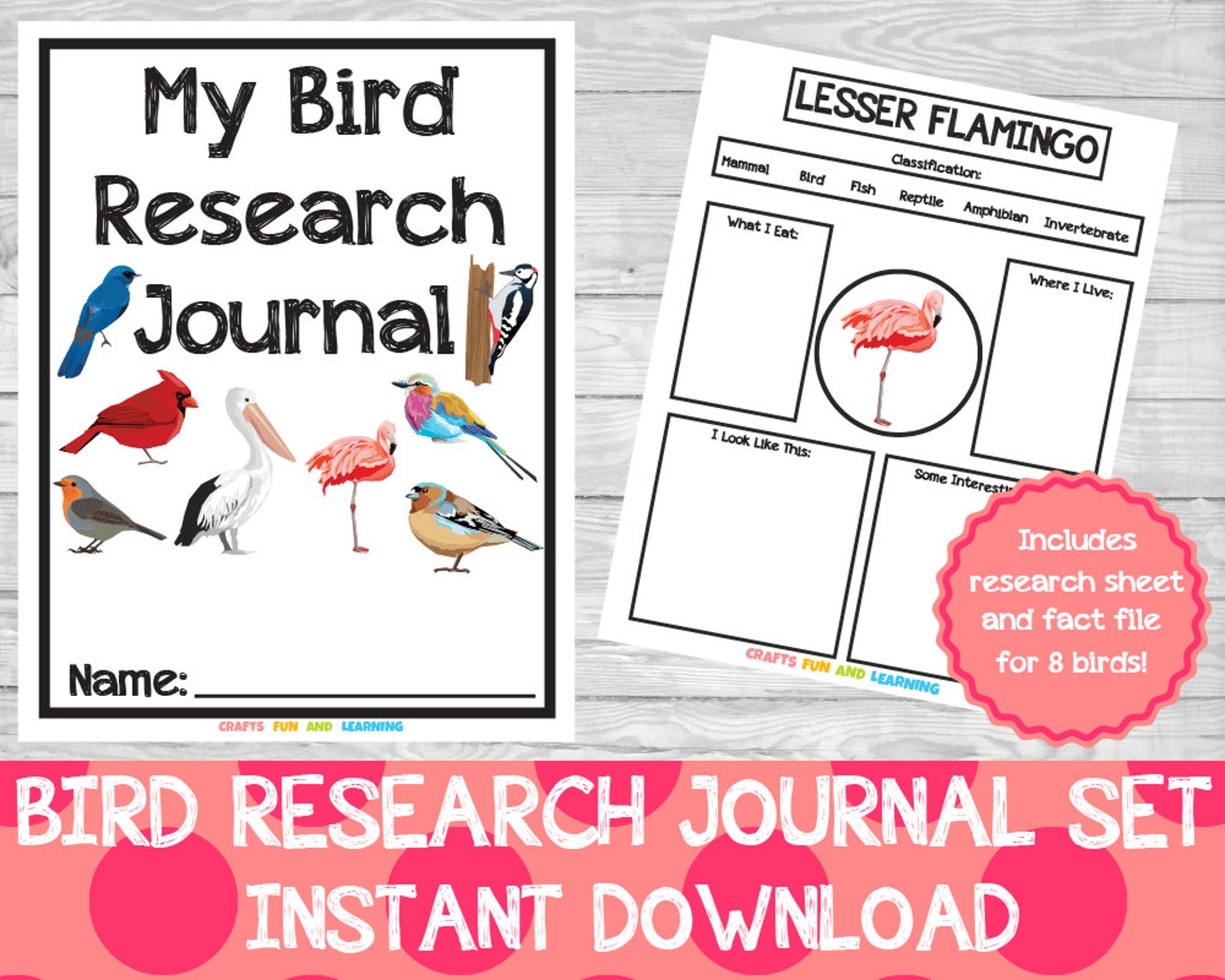 Bird Research Journal Set My Bird Field Journal Bird | Etsy