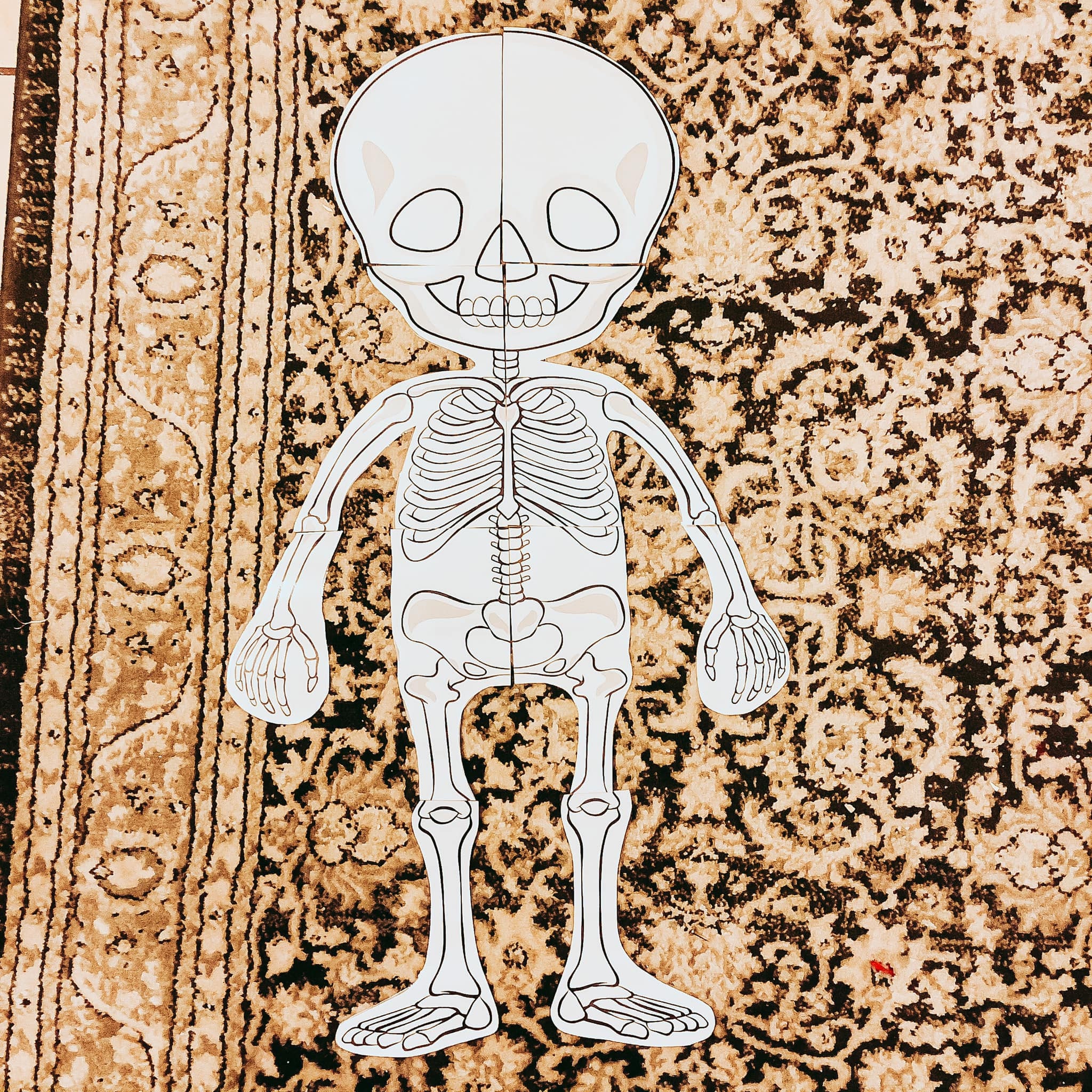Printable Skeleton Floor Puzzle - Etsy