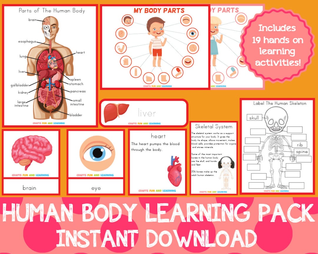Human Body Learning Pack, Human Body Science Pack - Etsy