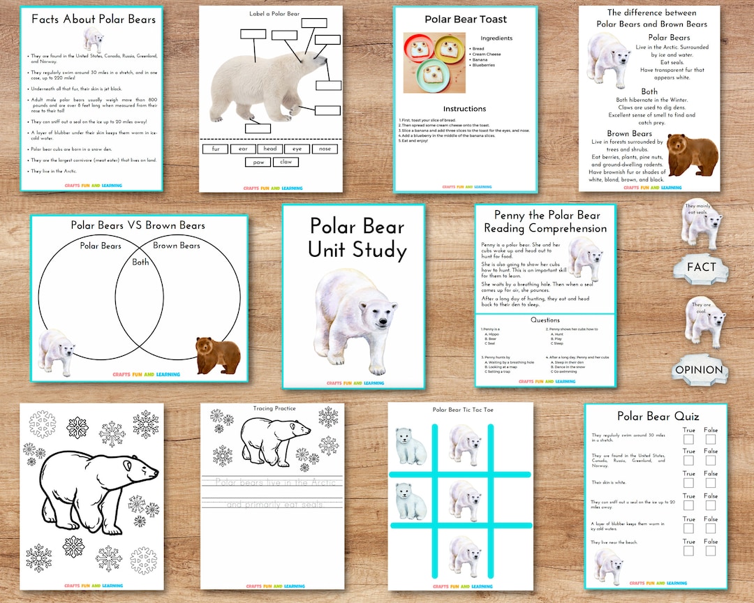Polar Bear Unit Study - Etsy