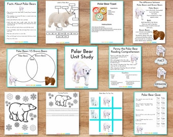Bear Learning Activities, Bear Unit Study, Learn About Animals, Zoo ...