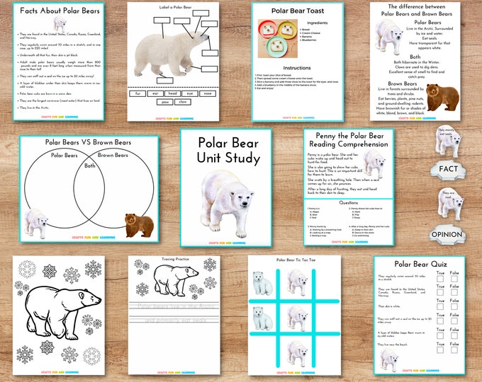 Montessori 3 Part Cards- Parts of a Polar Bear - Etsy