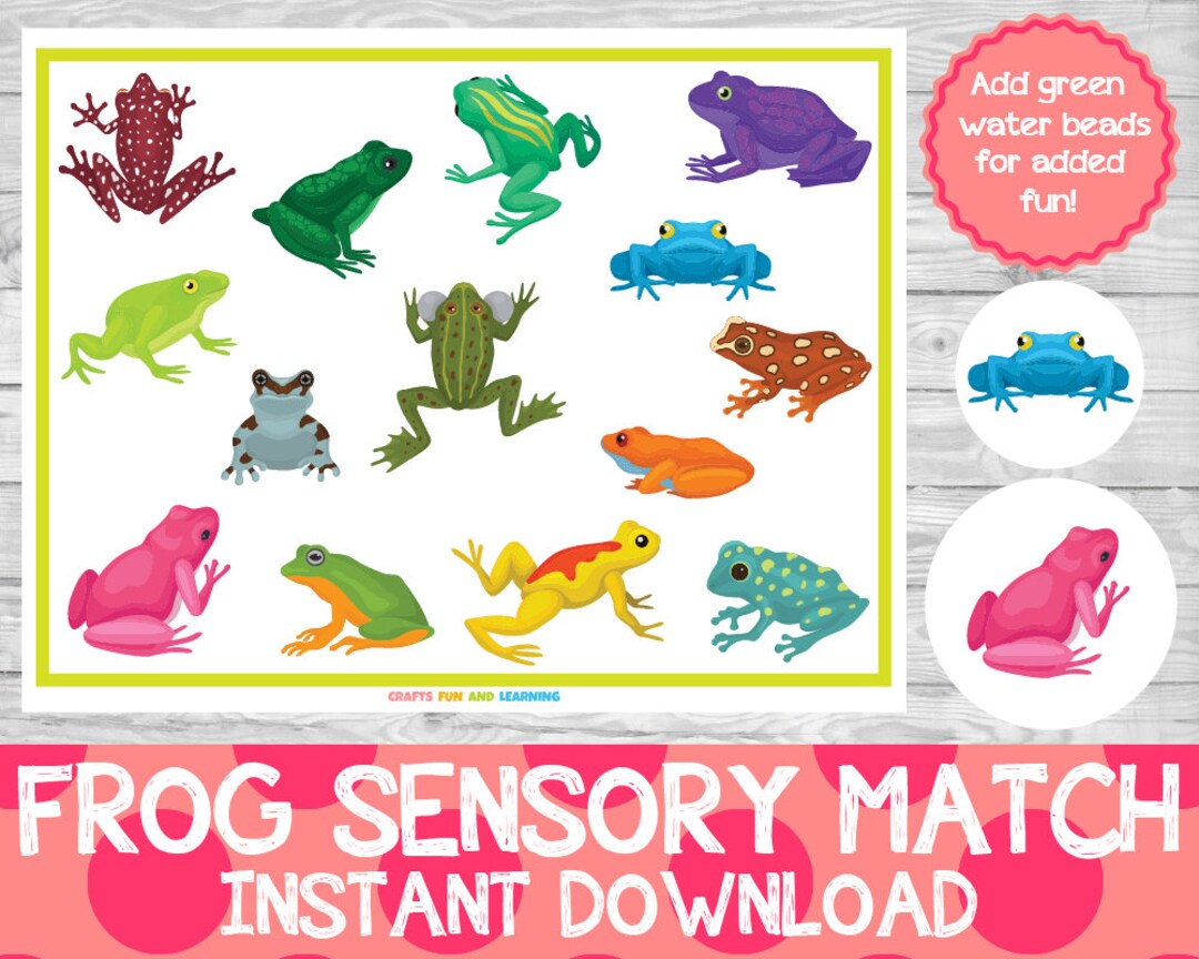 Frog Sensory Match, Sensory Look and Find - Etsy