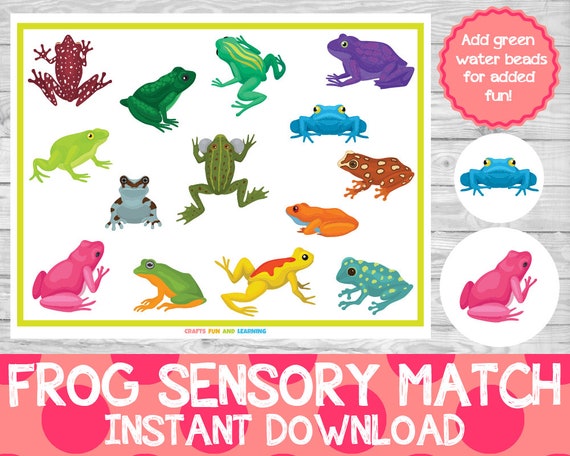 Frog Sensory Match Sensory Look and Find | Etsy