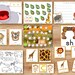 Garden Learning Pack, Garden Preschool Pack, - Etsy