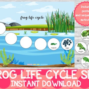 Frog Life Cycle Set, Memory Game, Frog Activity, Homeschool Printable ...