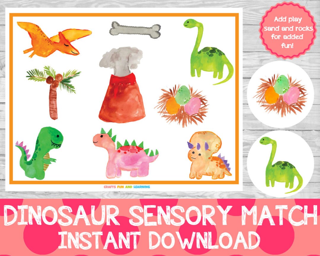 Dinosaur Sensory Match, Dinosaur Sensory Look and Find, Sensory Look ...