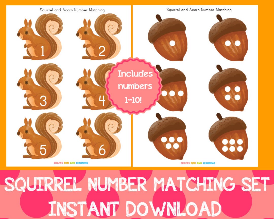 Squirrel Number Matching Set - Etsy