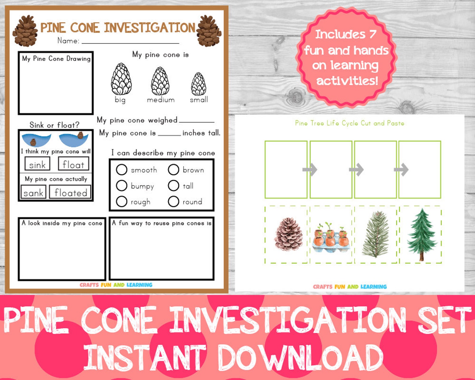 Pine Cone Investigation Set | Etsy