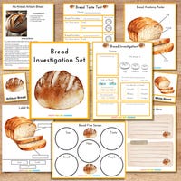 Question of the Day Cards - Bread Study (creative Curriculum Regular ...