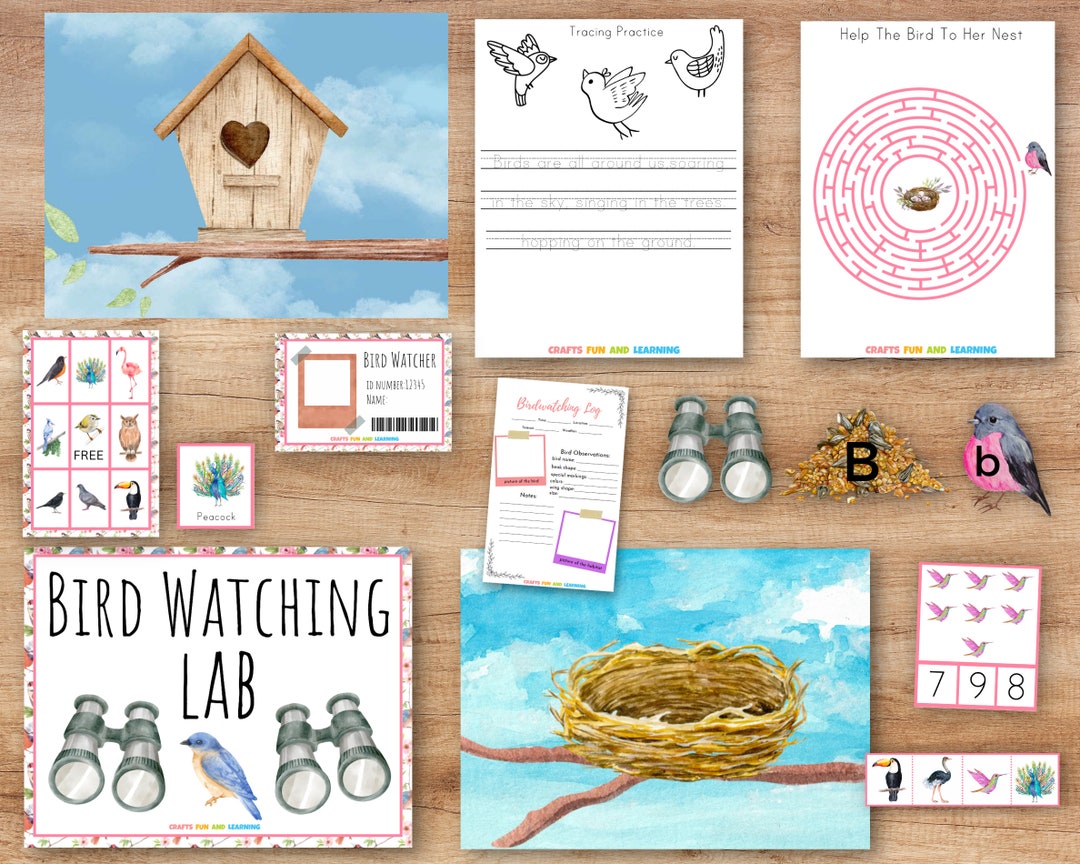 Bird Book Themed Learning Pack Ages 3-9 - Etsy