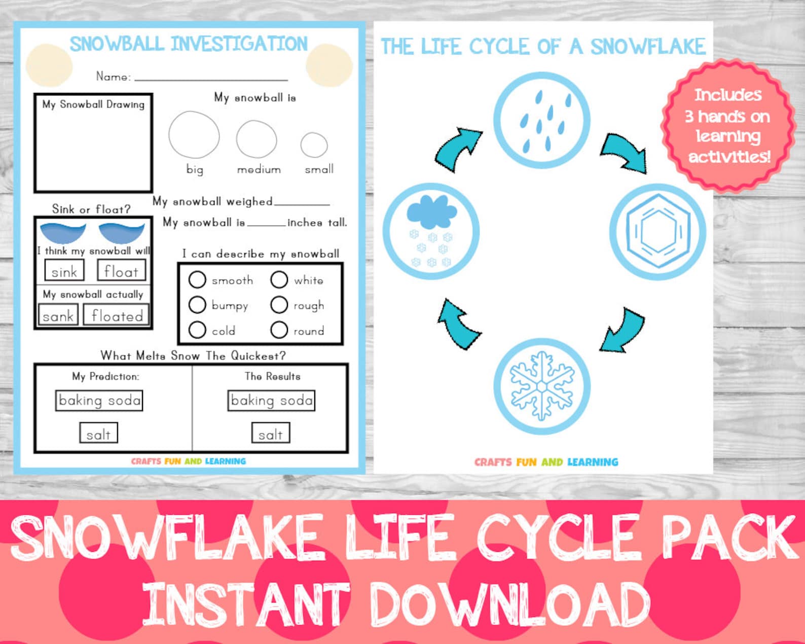 Snowflake Life Cycle Set Winter Learning Pack Life Cycle - Etsy