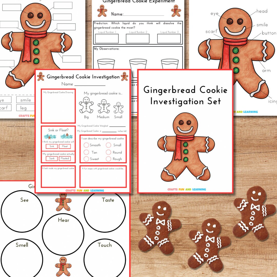 Gingerbread Cookie Investigation Set - Etsy