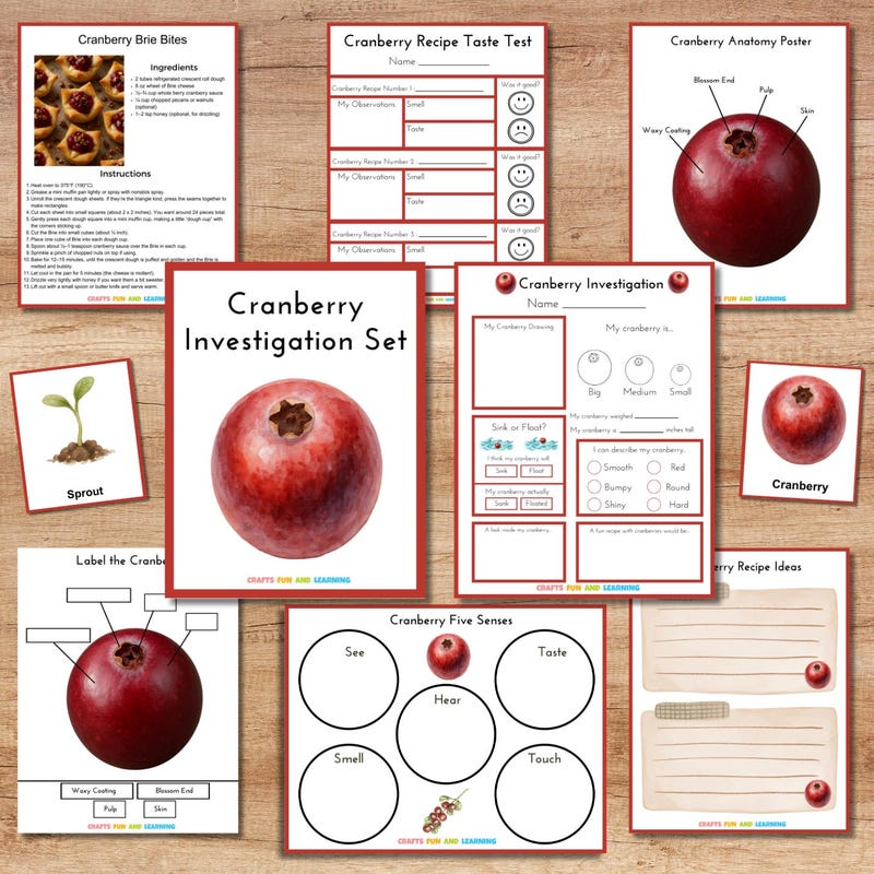 CraftsFunandLearning - Etsy