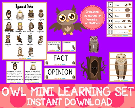 Owl Mini Learning Set Owl Unit Study - Etsy