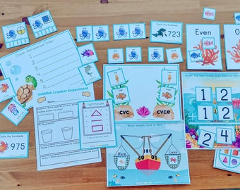 Spring First and Second Grade Learning Pack Math and Literacy - Etsy