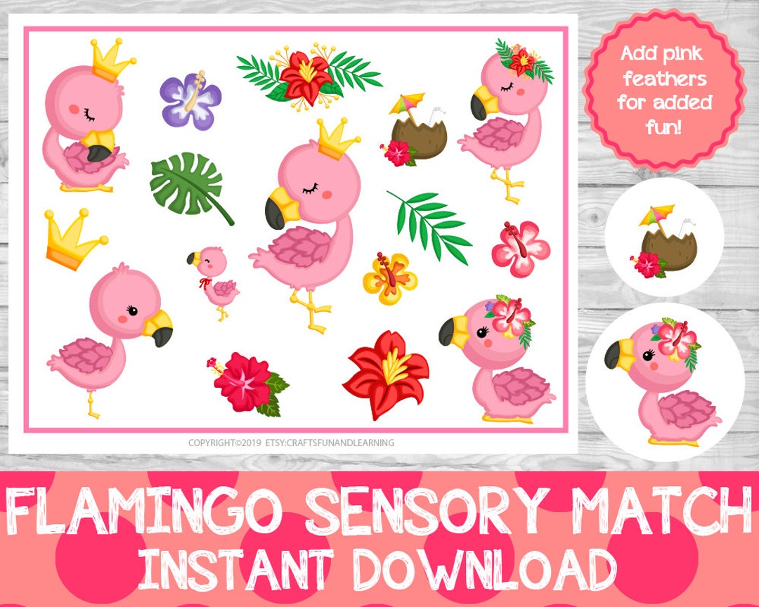 Flamingo Sensory Match, Sensory Look and Find, - Etsy