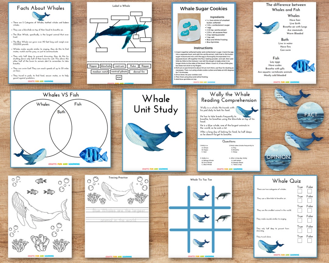 Whale Unit Study, Whale Learning Pack, Whale Activity Pack, Whale ...
