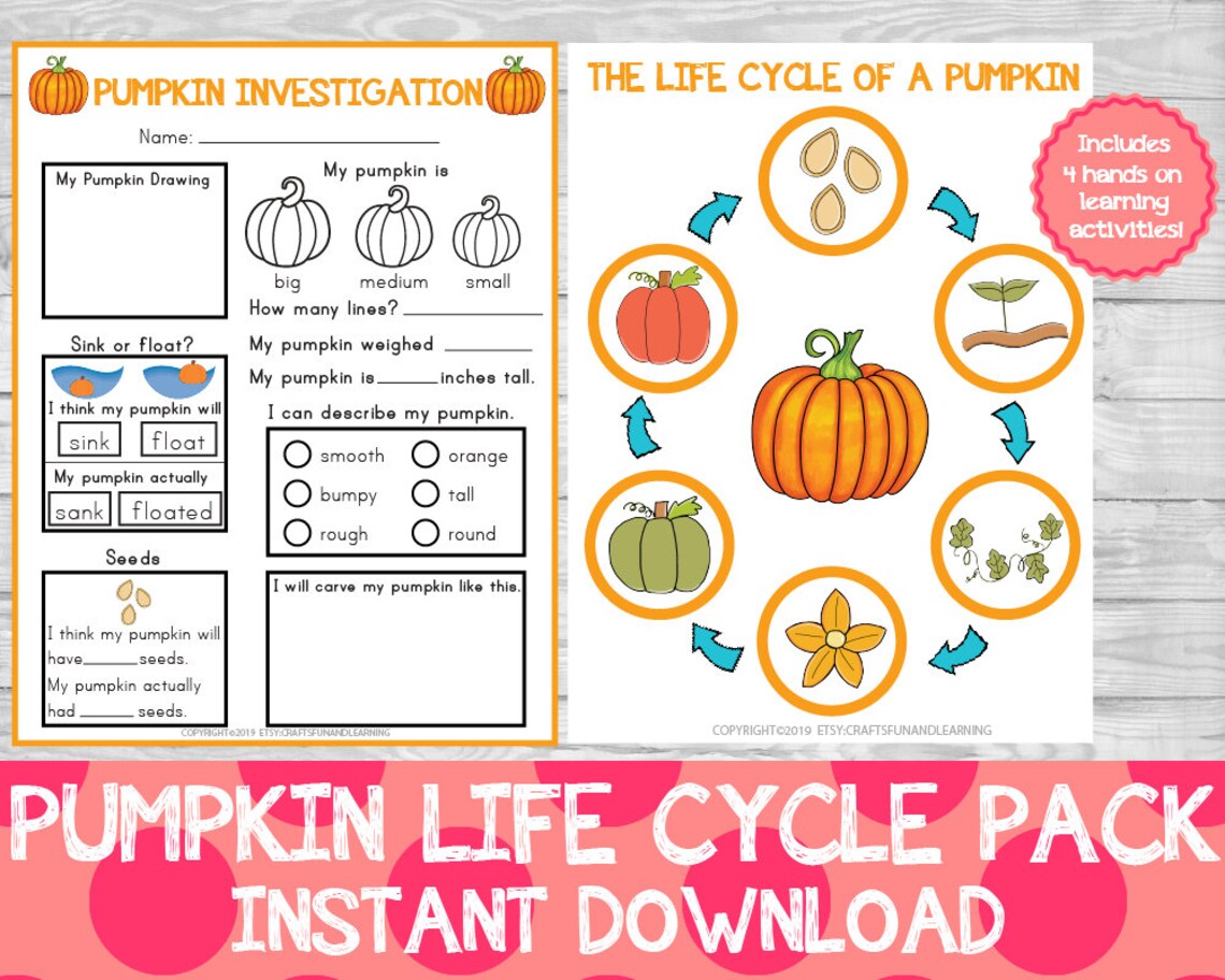 Pumpkin Life Cycle Pack, Pumpkin Learning Pack, Fall Learning Pack, - Etsy