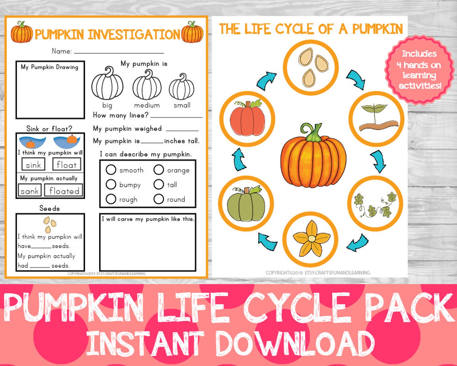 Pumpkin Life Cycle Pack, Pumpkin Learning Pack, Fall Learning Pack, - Etsy