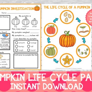 Foldable Pumpkin Life Cycle Learning Activity for Kids Halloween Nature ...