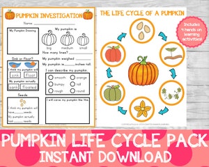 Foldable Pumpkin Life Cycle Learning Activity for Kids Halloween Nature ...
