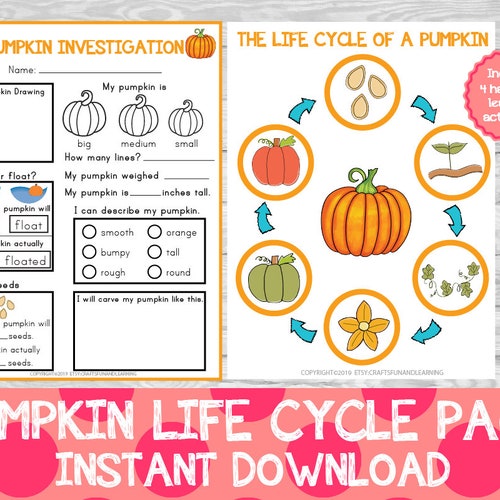 Pumpkin Life Cycle Pack Pumpkin Learning Pack Fall Learning - Etsy