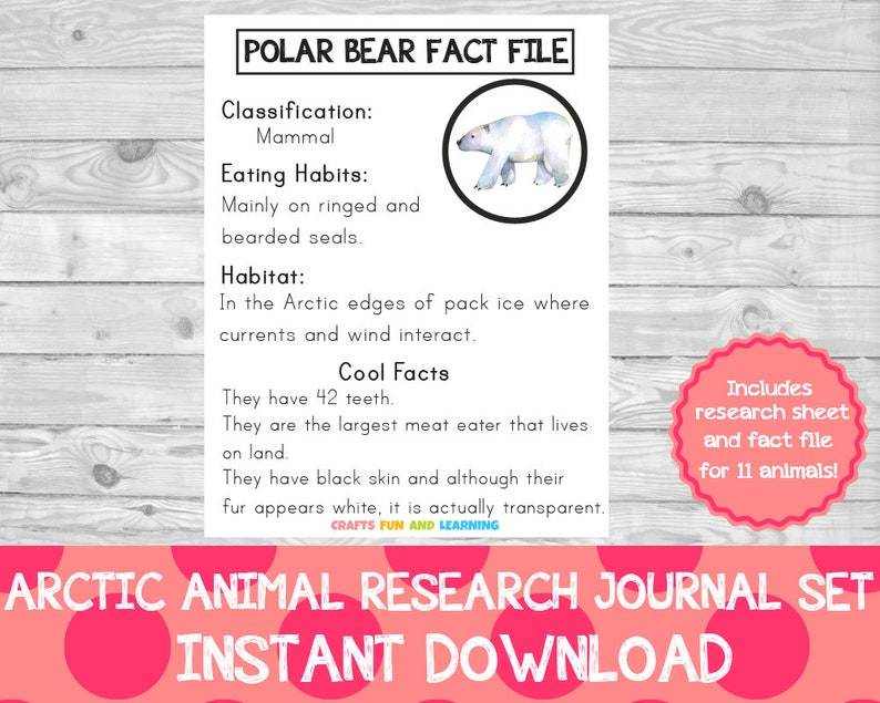 Arctic Animal Research Journal Set - Etsy