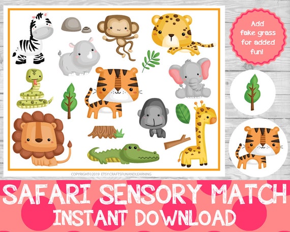 Safari Sensory Match Sensory Look and Find | Etsy