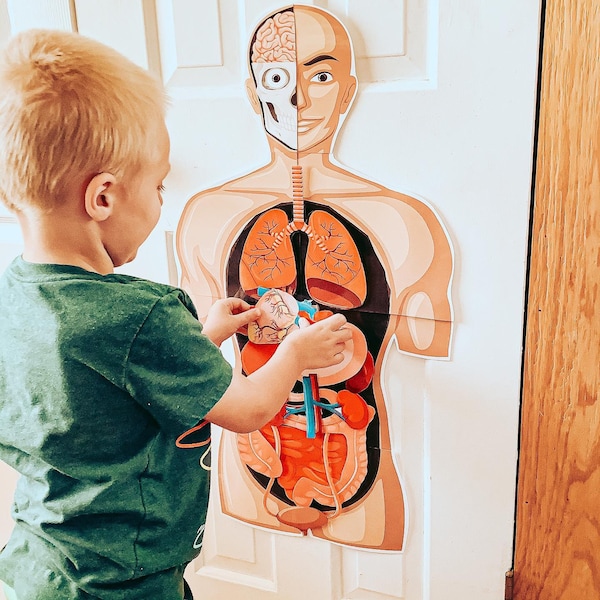 Human Body Puzzle - Etsy