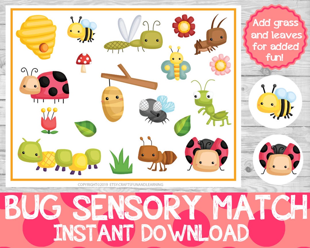 Bug Sensory Match, Sensory Look and Find, Insect Sensory Match, Insect ...