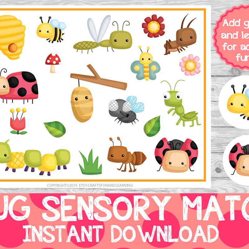 Sensory Bin - Etsy